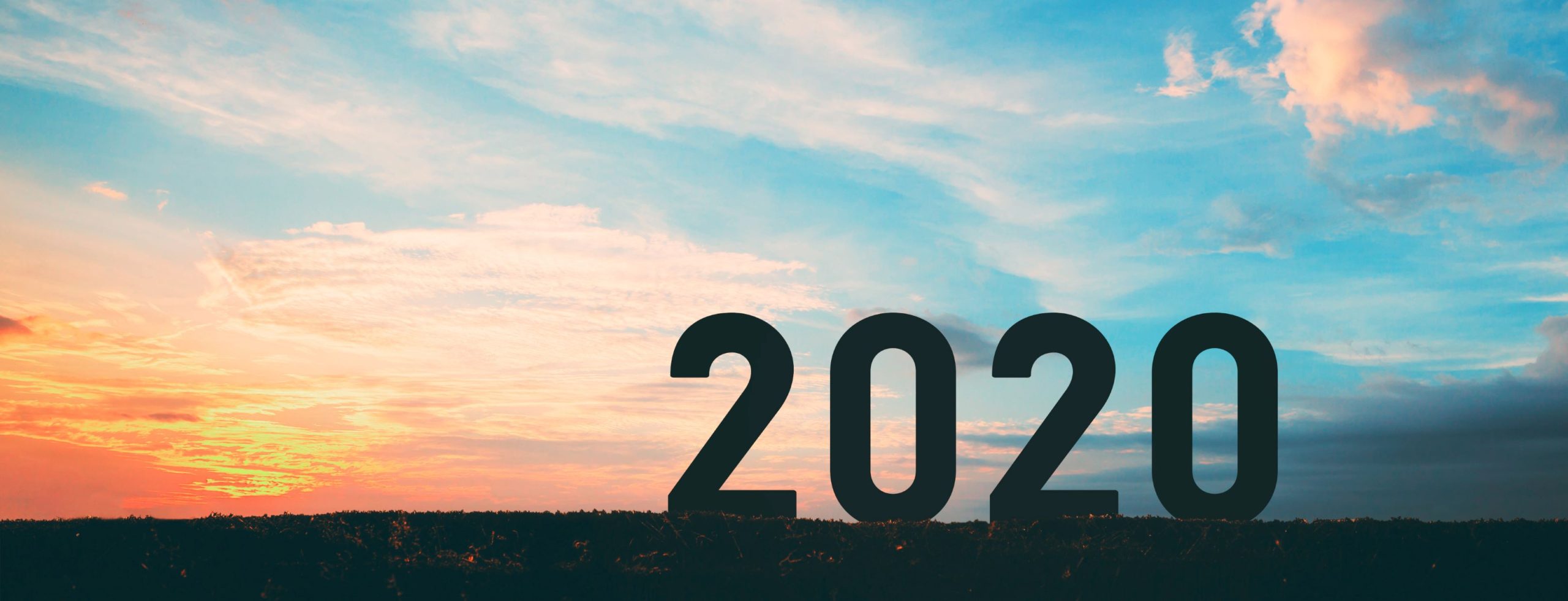 A Look Back at 2020 - Davidson Houle Allen